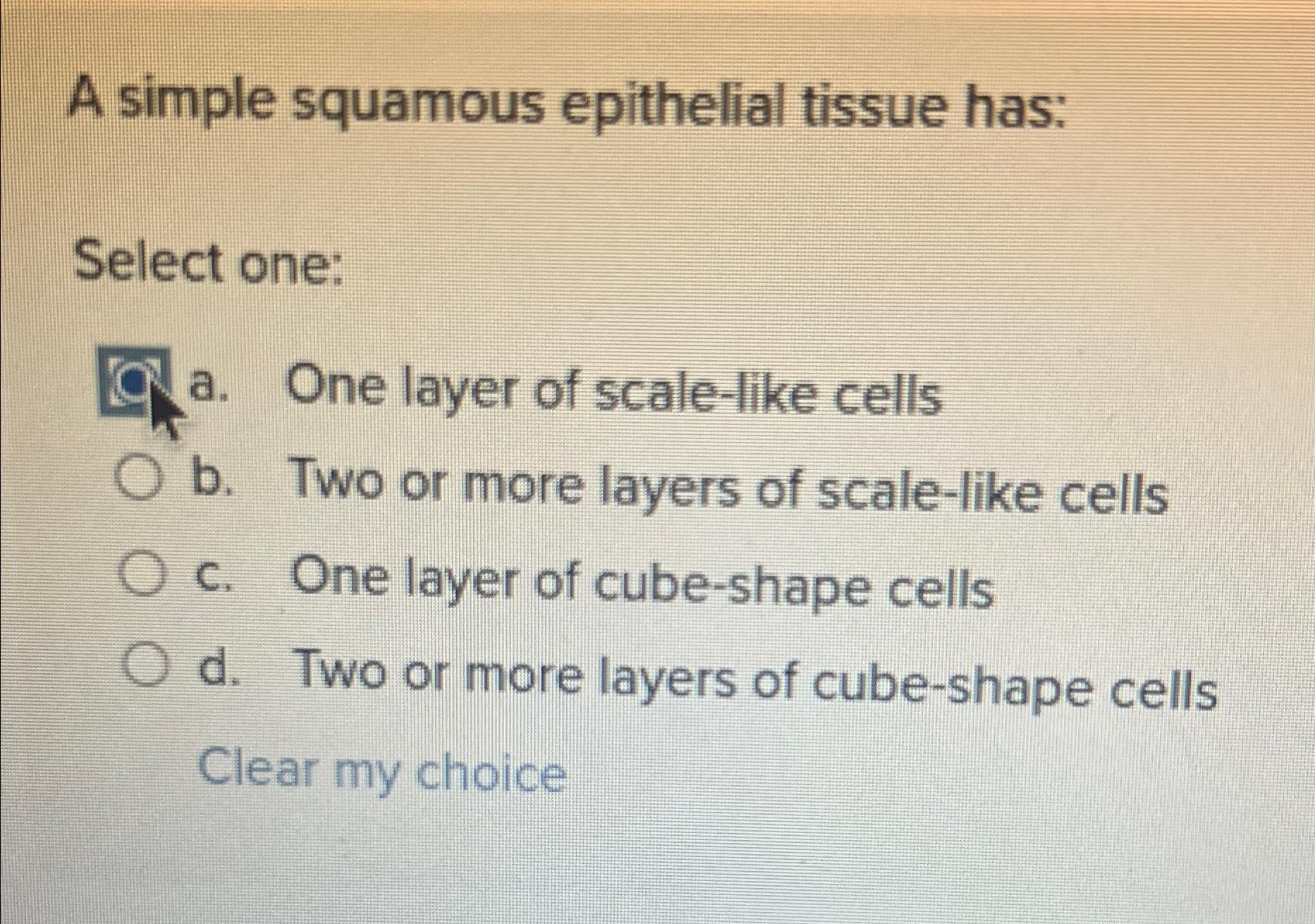 Solved A simple squamous epithelial tissue has:Select one:a. | Chegg.com