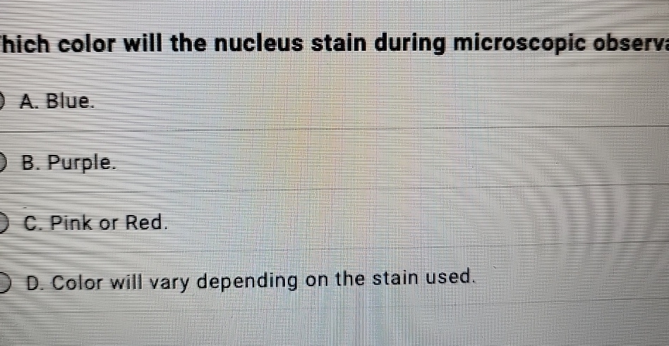 Solved hich color will the nucleus stain during microscopic | Chegg.com