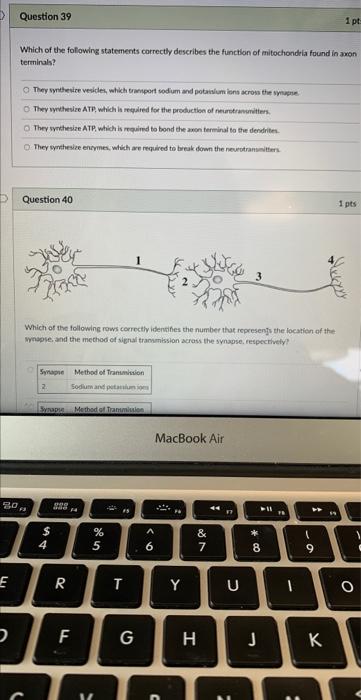 Solved Match the labelled synapse structure with the correct | Chegg.com