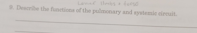 Solved 9. ﻿Describe the functions of the pulmonary and | Chegg.com