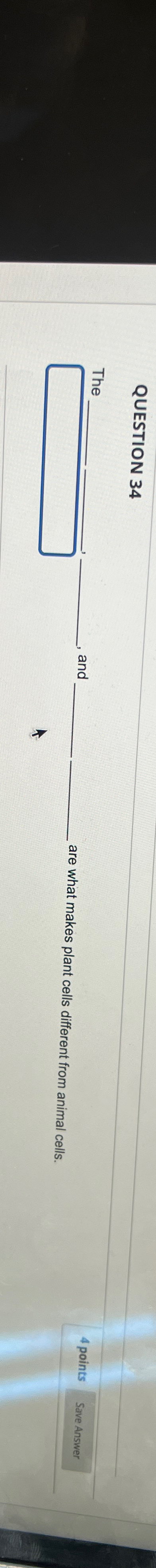 Solved QUESTION 34The and are what makes plant cells | Chegg.com