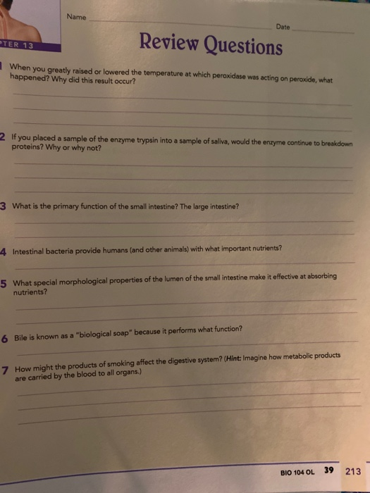 Solved Name PTER 13 Review Questions When you greatly raised | Chegg.com