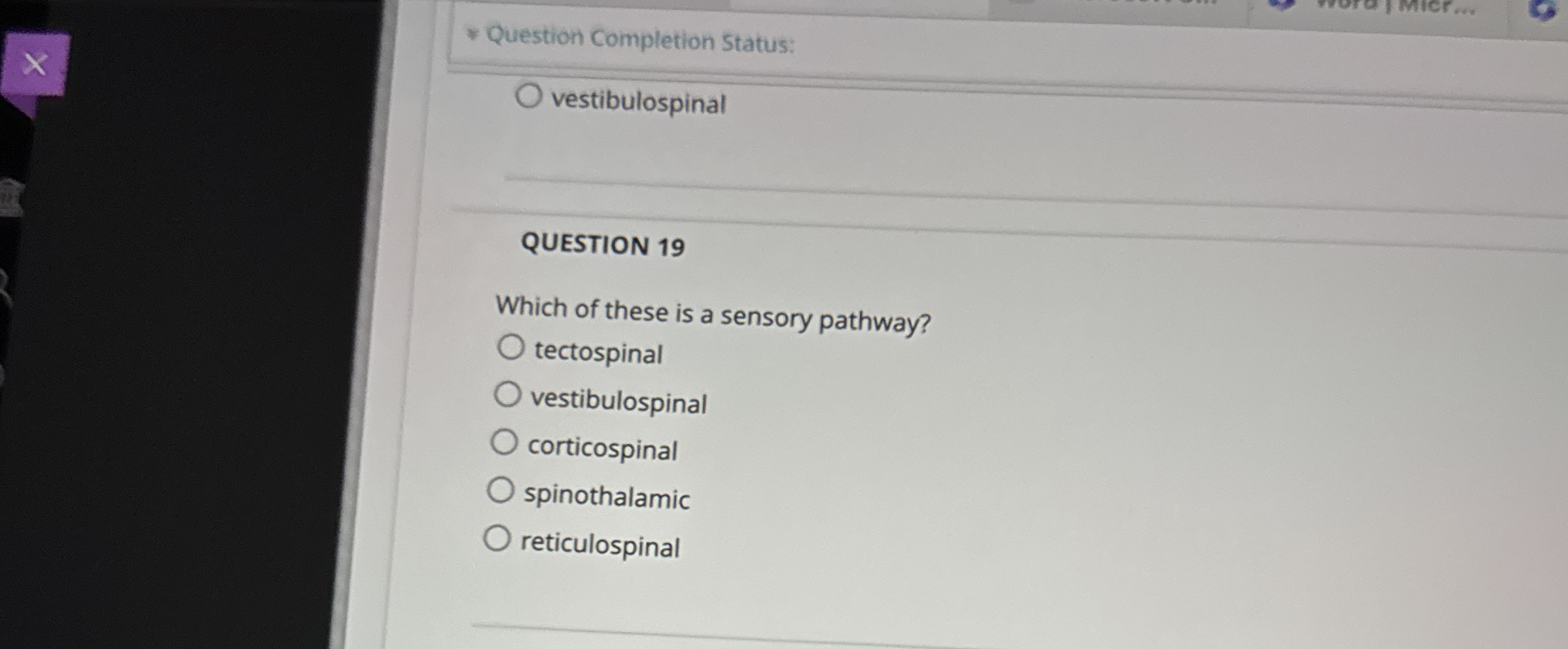 Solved Question Completion Status:vestibulospinalQUESTION | Chegg.com