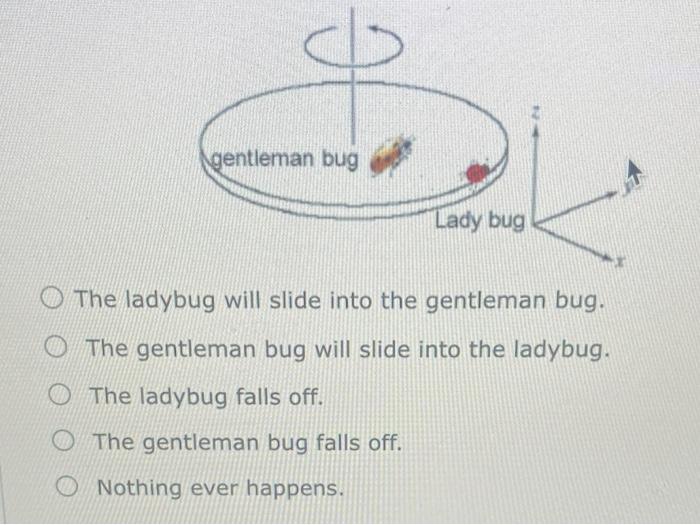 Solved A ladybug sits at the outer edge of a merry go-round, | Chegg.com