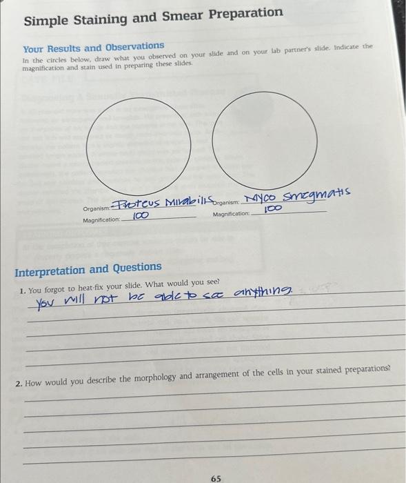 Solved Your Results and Observations In the circles below, | Chegg.com