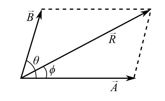 Solved: A trapper walks a 5.0-km straight-line distance from his c ...