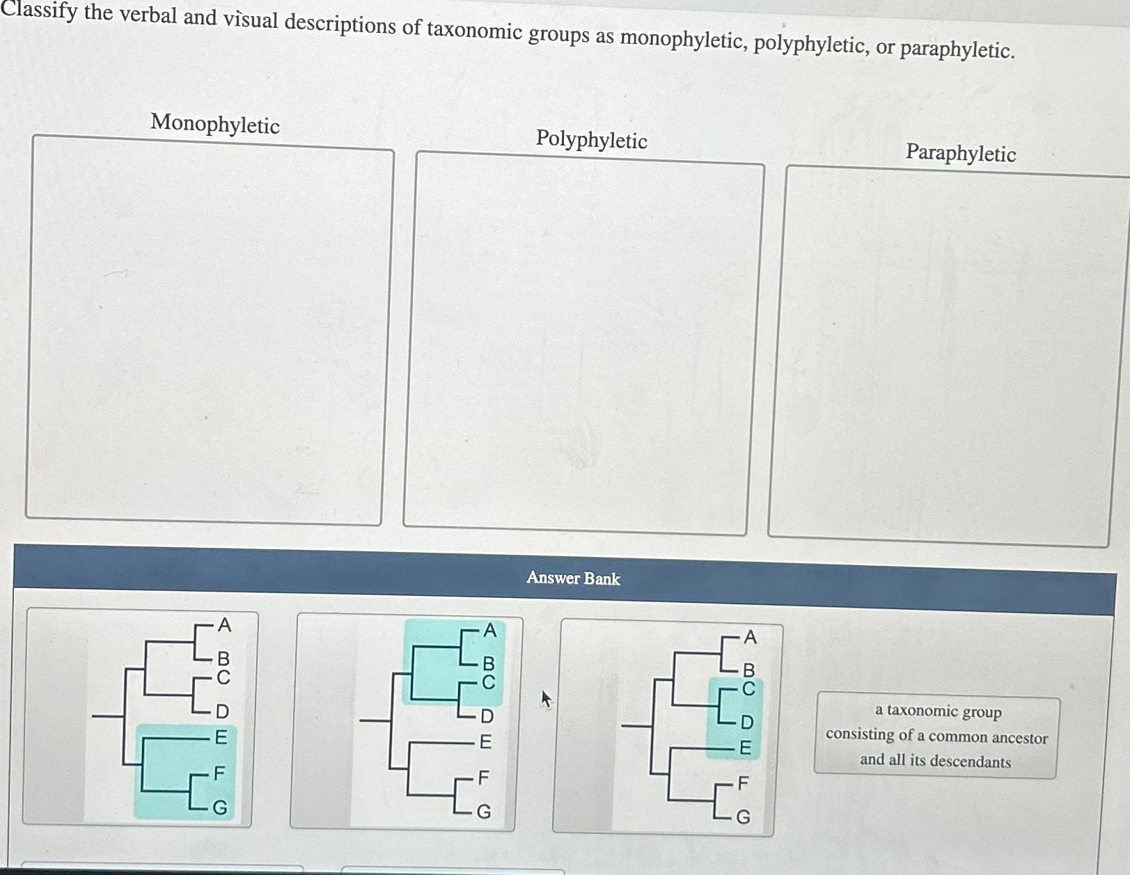 Solved Classify the verbal and visual descriptions of | Chegg.com