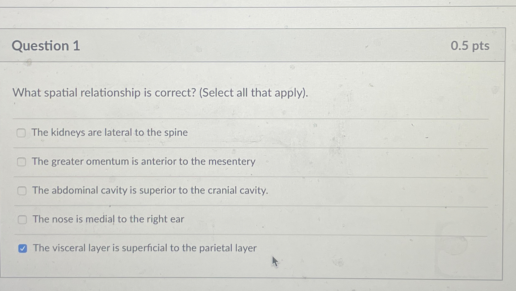 Solved Question 10.5ptsWhat spatial relationship is correct? | Chegg.com