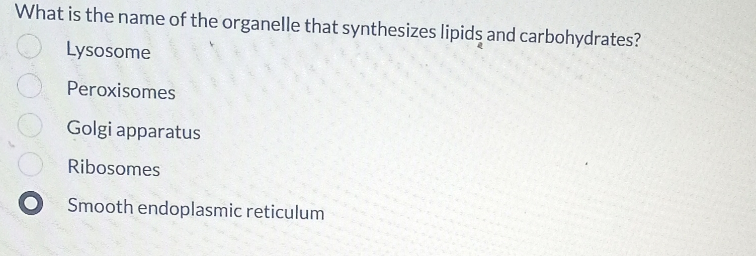 Solved What is the name of the organelle that synthesizes | Chegg.com