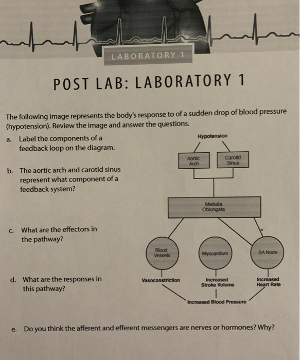Solved العامه Listen LABORATORY 1 POST LAB: LABORATORY 1 The | Chegg.com