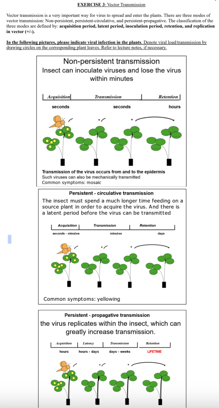 Solved Vector transmission is a very important way for virus | Chegg.com