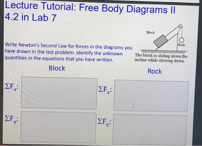 2.1.3 Free Body Diagrams Answers