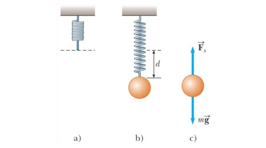 Solved The potential energy between two atoms of a diatomic | Chegg.com