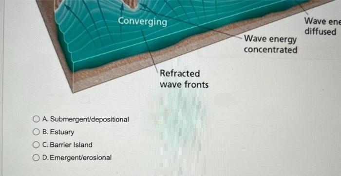 Solved What type of coastal environment is shown in the | Chegg.com