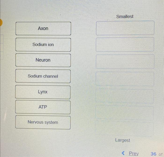 Solved Smallest Axon Sodium ion Neuron Sodium channel Lynx | Chegg.com