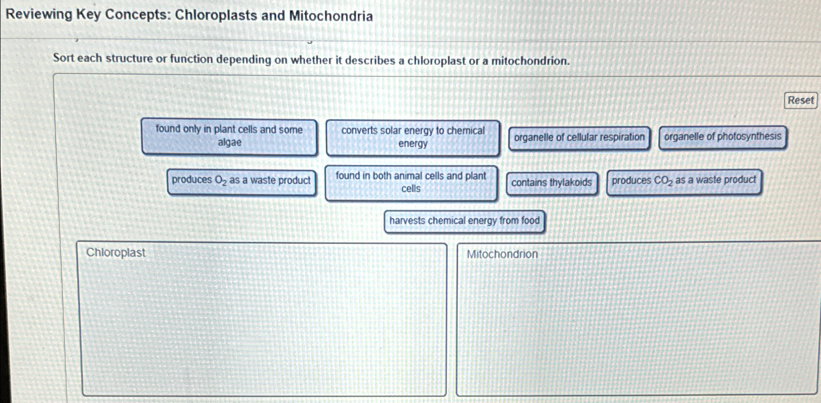Solved Reviewing Key Concepts: Chloroplasts and | Chegg.com