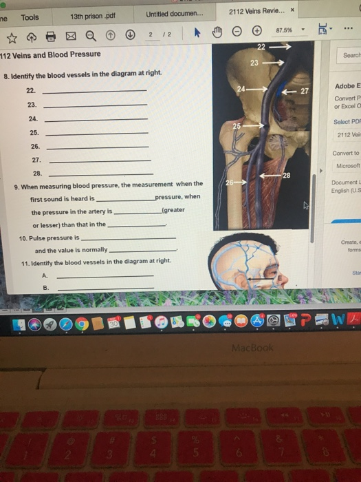 Solved Acrobat Reader File Edit View Window Help 2112 Veins | Chegg.com