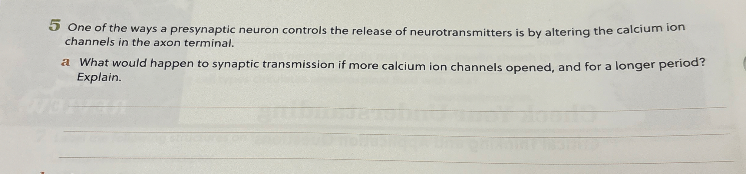 Solved 5 ﻿One of the ways a presynaptic neuron controls the | Chegg.com
