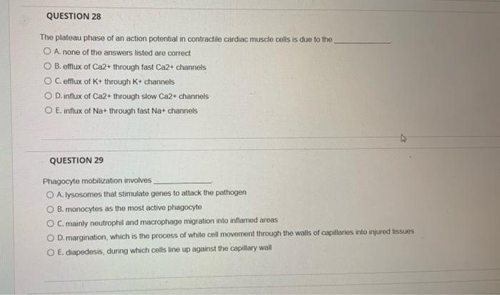 Solved The plateau phase of an action potential in | Chegg.com