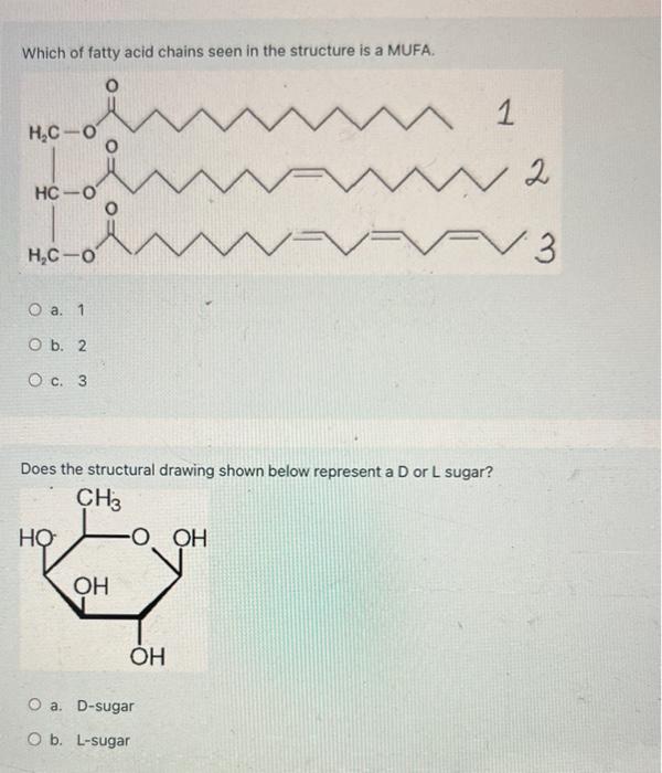 Solved An enzyme's affinity for its substrate a. is equal to | Chegg.com