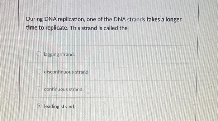 Solved During DNA replication, one of the DNA strands takes | Chegg.com