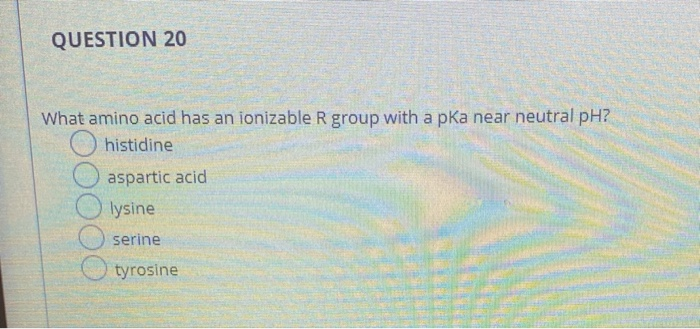 Solved QUESTION 20 What amino acid has an ionizable R group | Chegg.com