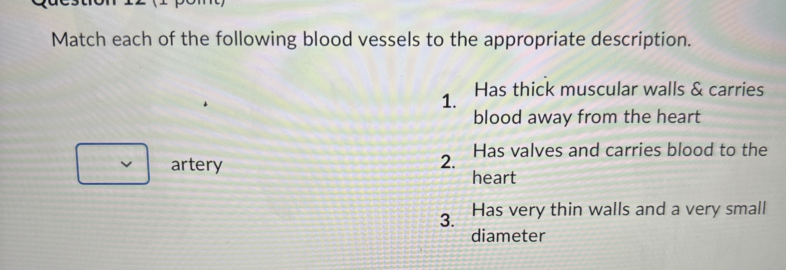 Solved Match each of the following blood vessels to the | Chegg.com