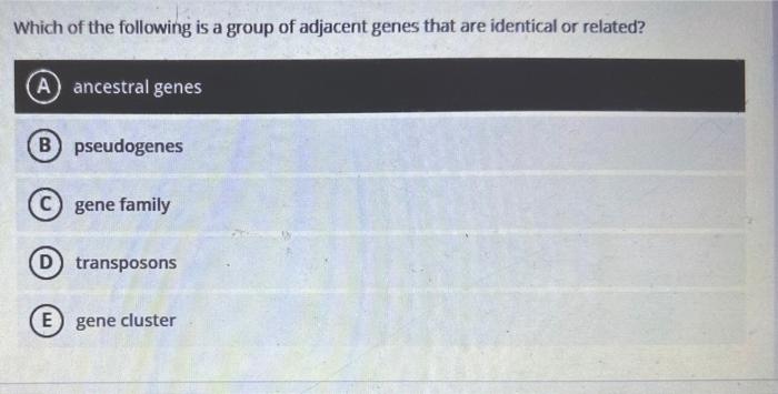 Solved Which of the following is a group of adjacent genes | Chegg.com