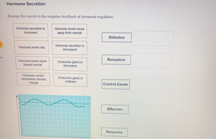 Solved Hormone Secretion Arrange the events in the negative | Chegg.com