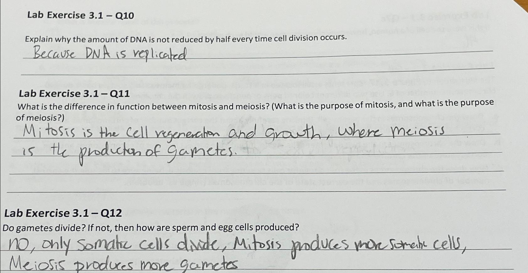 Solved Lab Exercise 3.1 - ﻿Q10Explain why the amount of DNA | Chegg.com