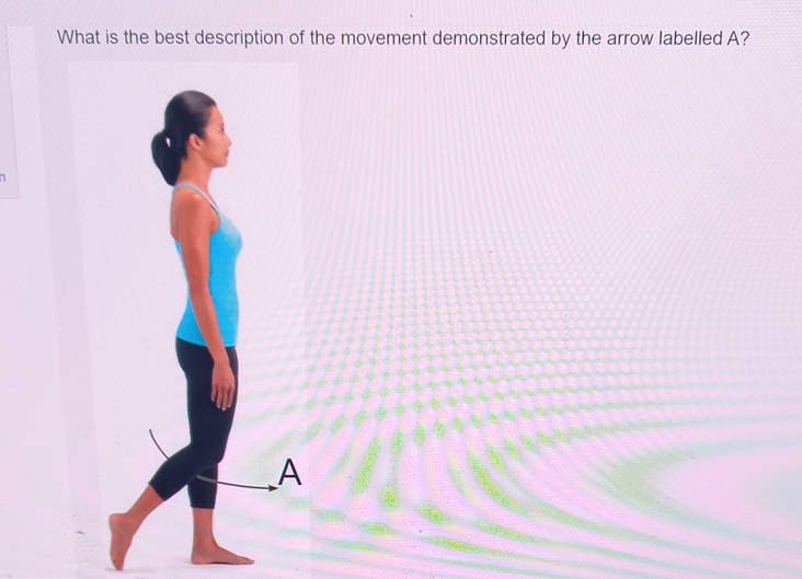 Solved What is the best description of the movement | Chegg.com