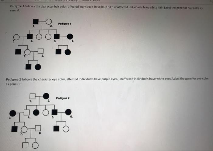Solved Pedigree 1 follows the character hair color, affected | Chegg.com