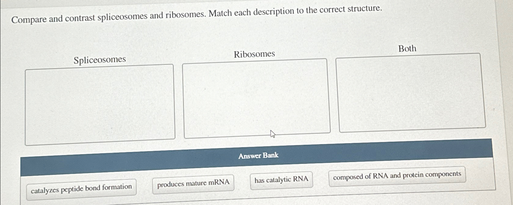 Solved Compare and contrast spliceosomes and ribosomes. | Chegg.com