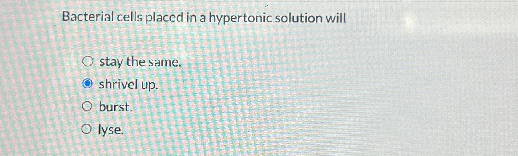 Solved Bacterial cells placed in a hypertonic solution | Chegg.com