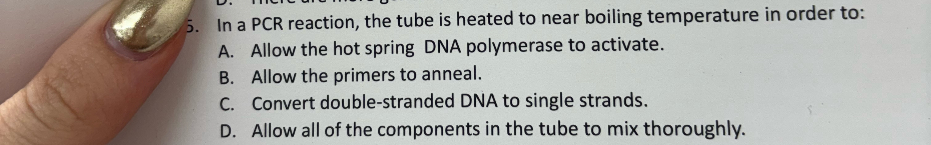 Solved In a PCR reaction, the tube is heated to near boiling | Chegg.com