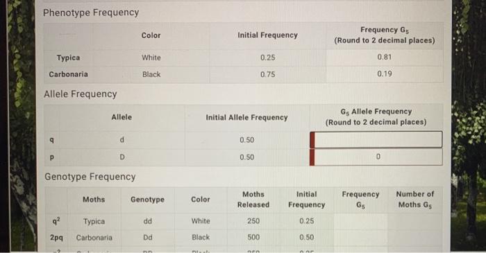Phenotype Frequency Color Initial Frequency Frequency | Chegg.com