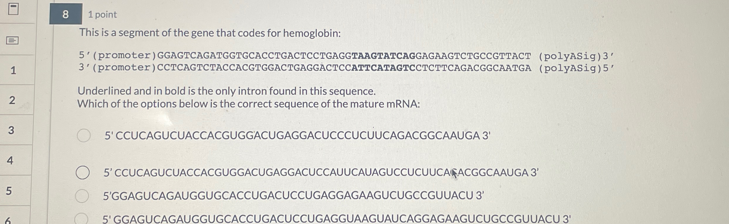 Solved 81 ﻿pointThis is a segment of the gene that codes for | Chegg.com