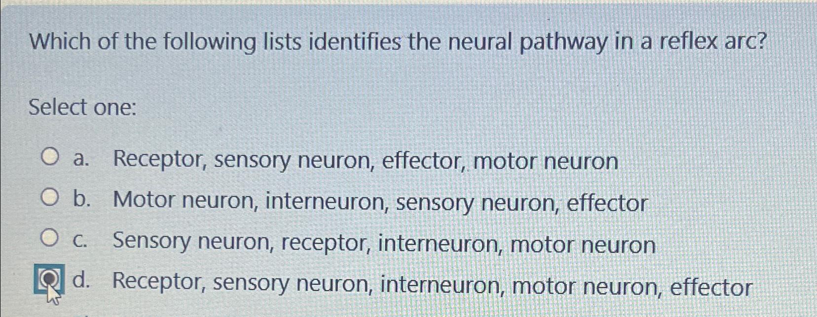 Solved Which of the following lists identifies the neural | Chegg.com