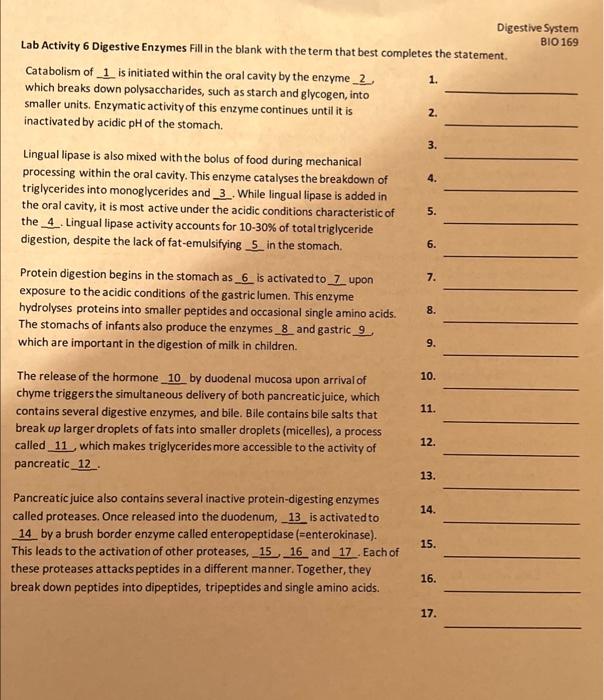 Solved Digestive System Lab Activity 6 Digestive Enzymes | Chegg.com