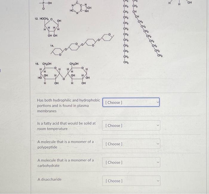 Solved The following question is based on the 15 molecules | Chegg.com