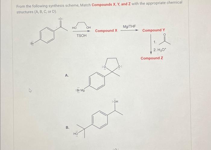 Solved From the following synthesis scheme, Match Compounds | Chegg.com