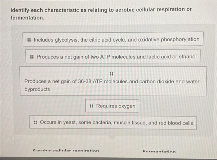 Solved Identify each characteristic as relating to aerobic | Chegg.com