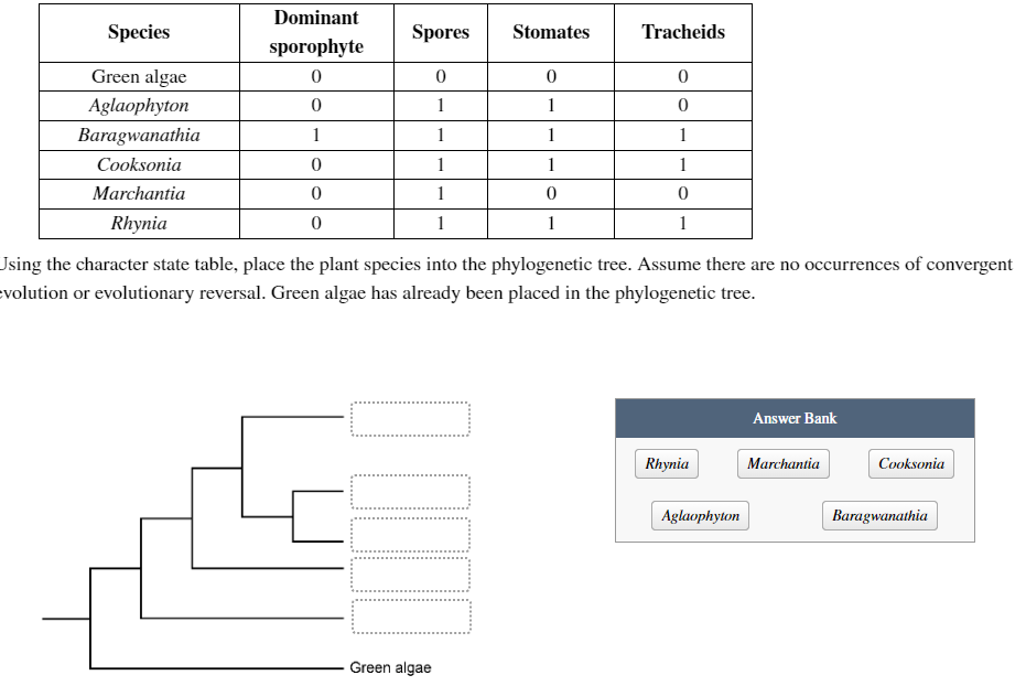 Solved Jsing the character state table, place the plant | Chegg.com