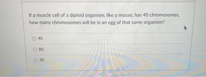 Solved If a muscle cell of a diploid organism, like a mouse, | Chegg.com