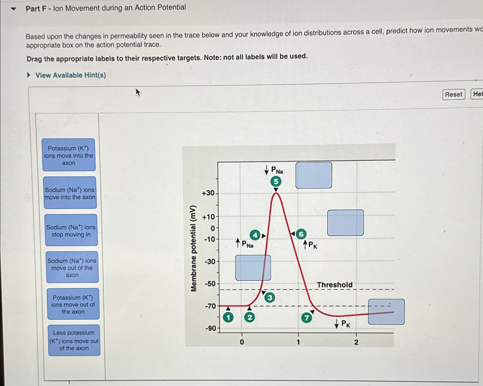 Solved Part F - Ion Movement during an Action | Chegg.com Solved Part F - Ion Movement during an Action | Chegg.com