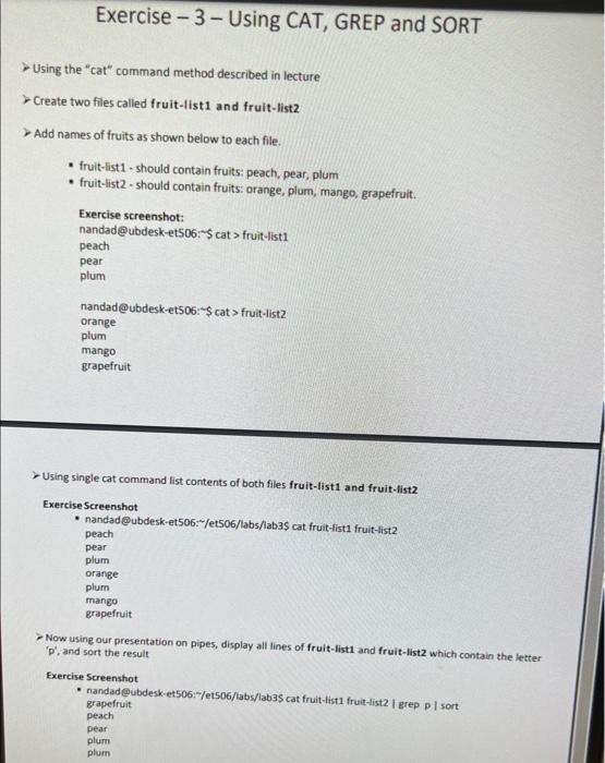 Solved Using the "cat" command method described in lecture | Chegg.com