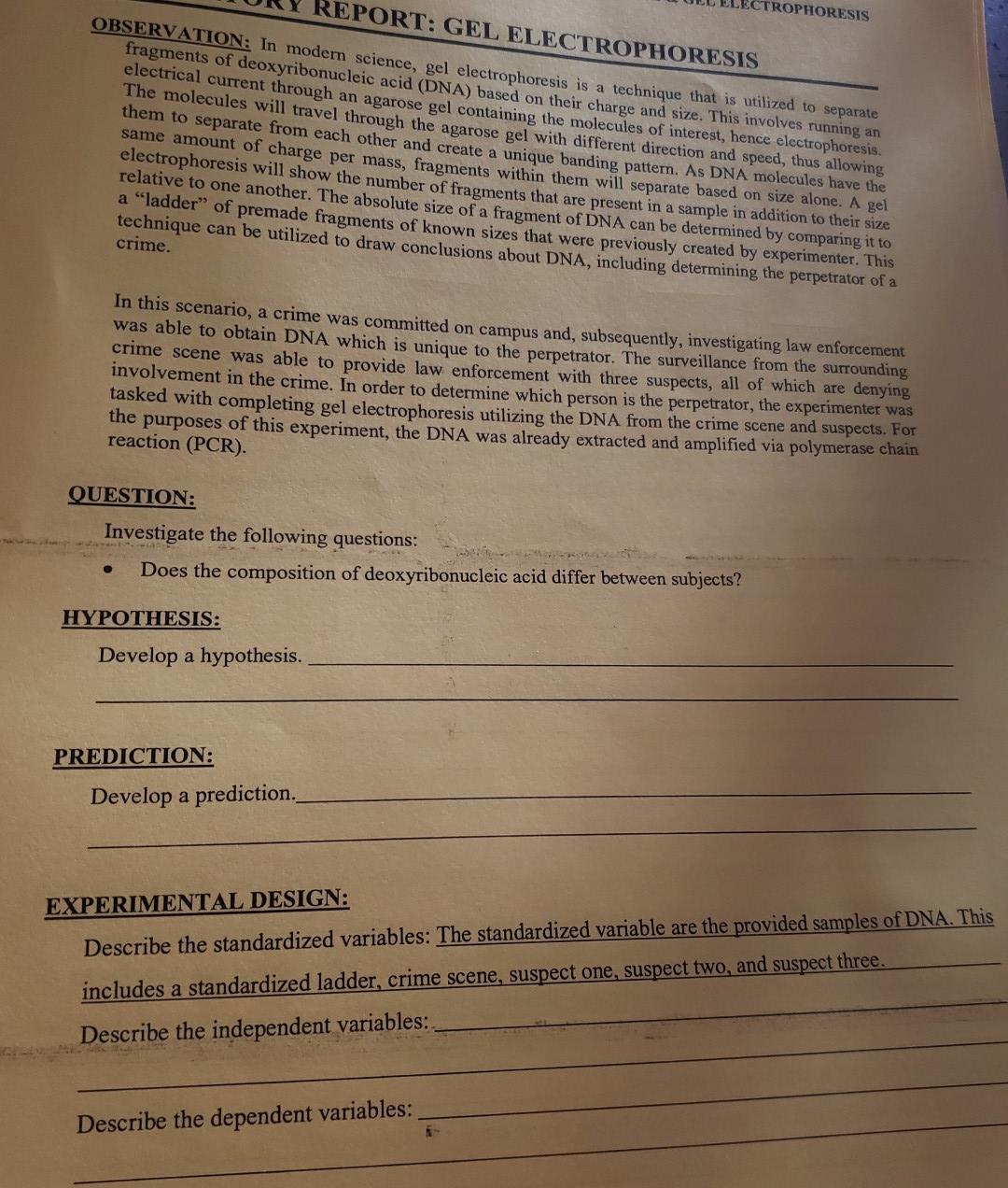 Solved OBSERVATION: In modern science, gel fragments of | Chegg.com