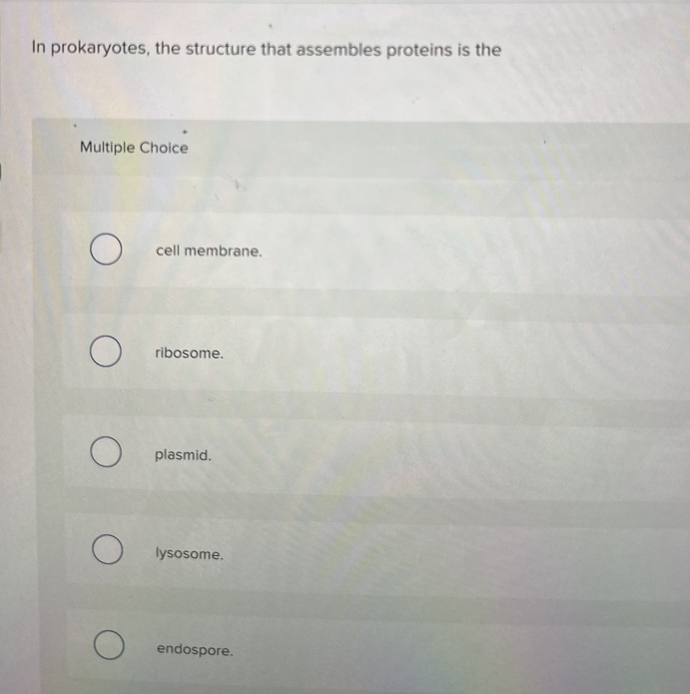 Solved In prokaryotes, the structure that assembles proteins | Chegg.com