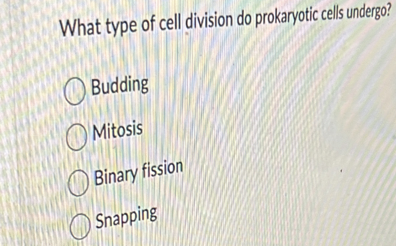 Solved What type of cell division do prokaryotic cells | Chegg.com