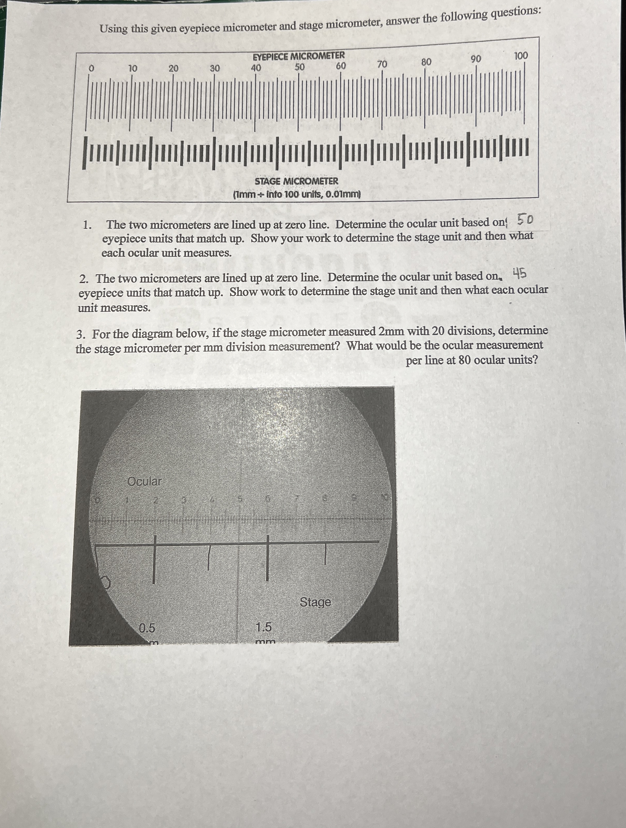 Solved Using this given eyepiece micrometer and stage | Chegg.com